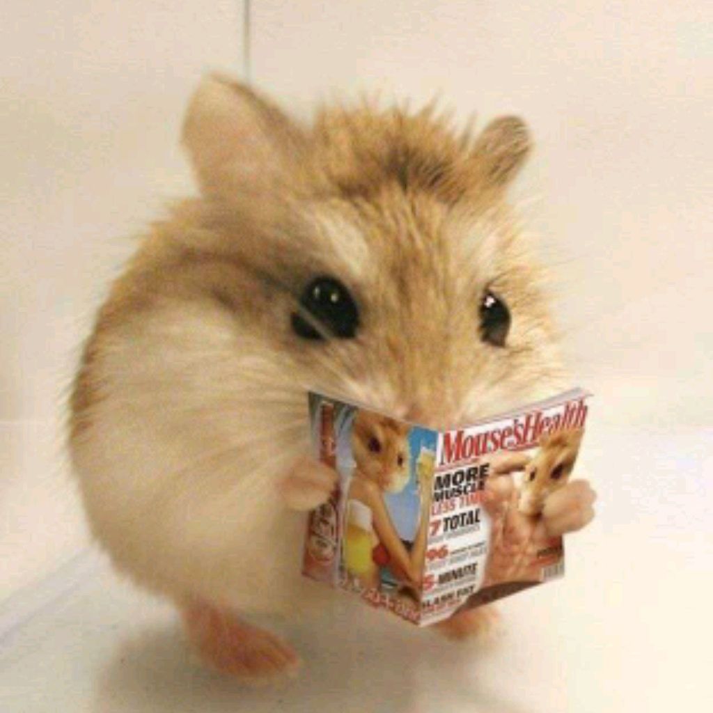 Иконка канала SHORTS