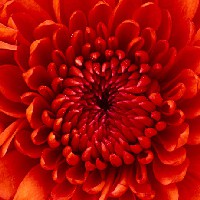 Иконка канала Лучшие трейлеры к фильмам и разборы (Подпишись на Канал)