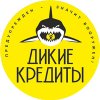 Иконка канала ДИКИЕ КРЕДИТЫ
