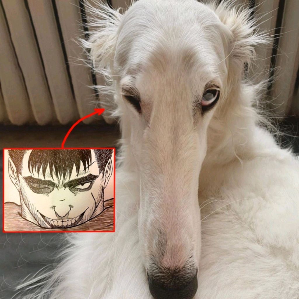 Иконка канала ENSKA