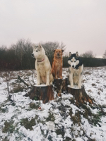 Иконка канала Татьяна