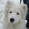Иконка канала Деревня 96