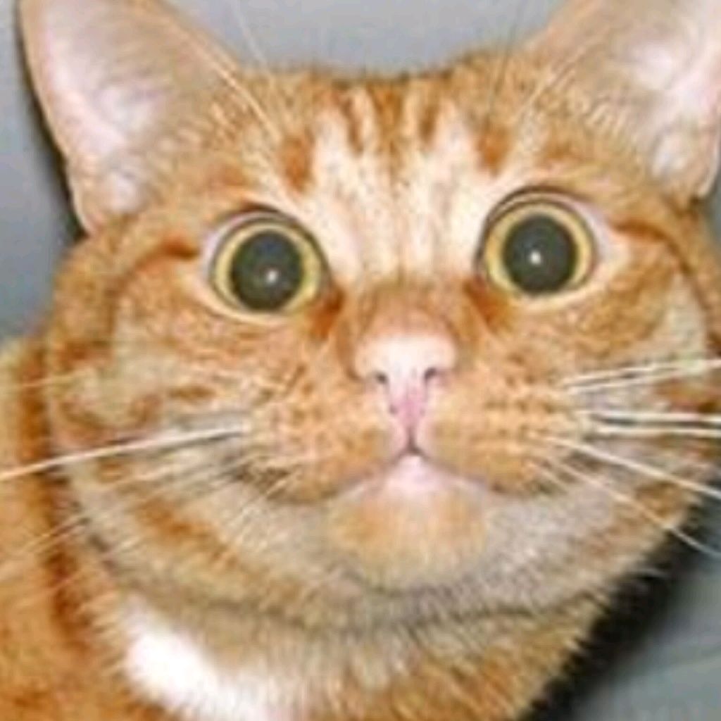 Иконка канала Zabavniymir