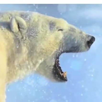 Иконка канала Best of Web