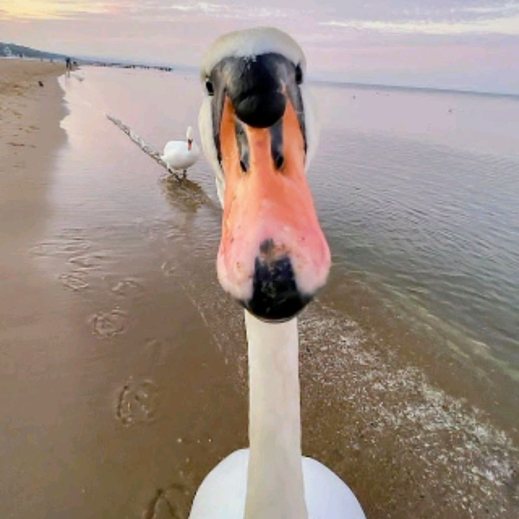 Иконка канала Adrian Smith