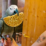 Иконка канала Жако Петруня