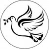 Иконка канала ypbor-29