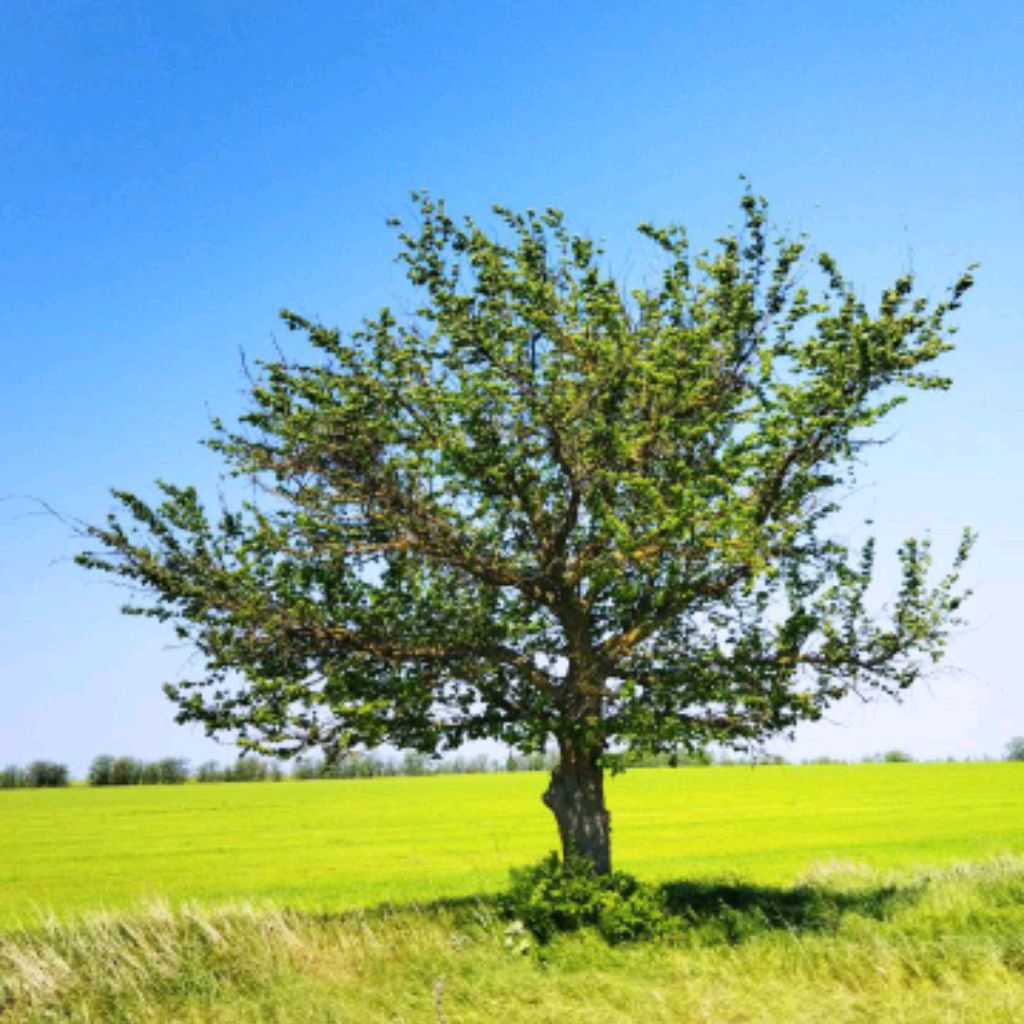 Иконка канала The_sea_is__beautiful