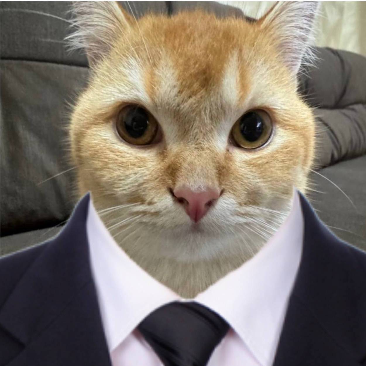 Иконка канала Ivan Zavarzin [Official Channel]