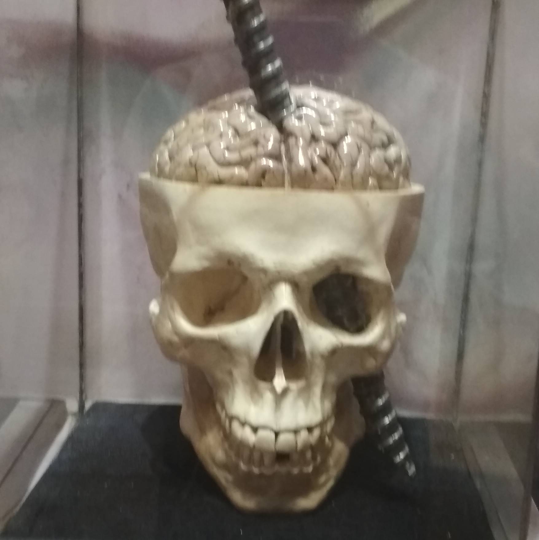 Иконка канала Mishiva19 (channel)