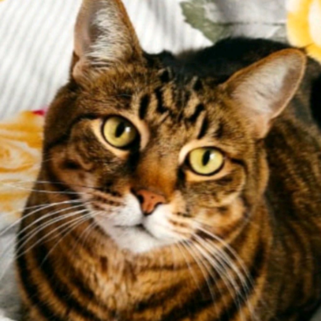 Иконка канала Pro жизнь.