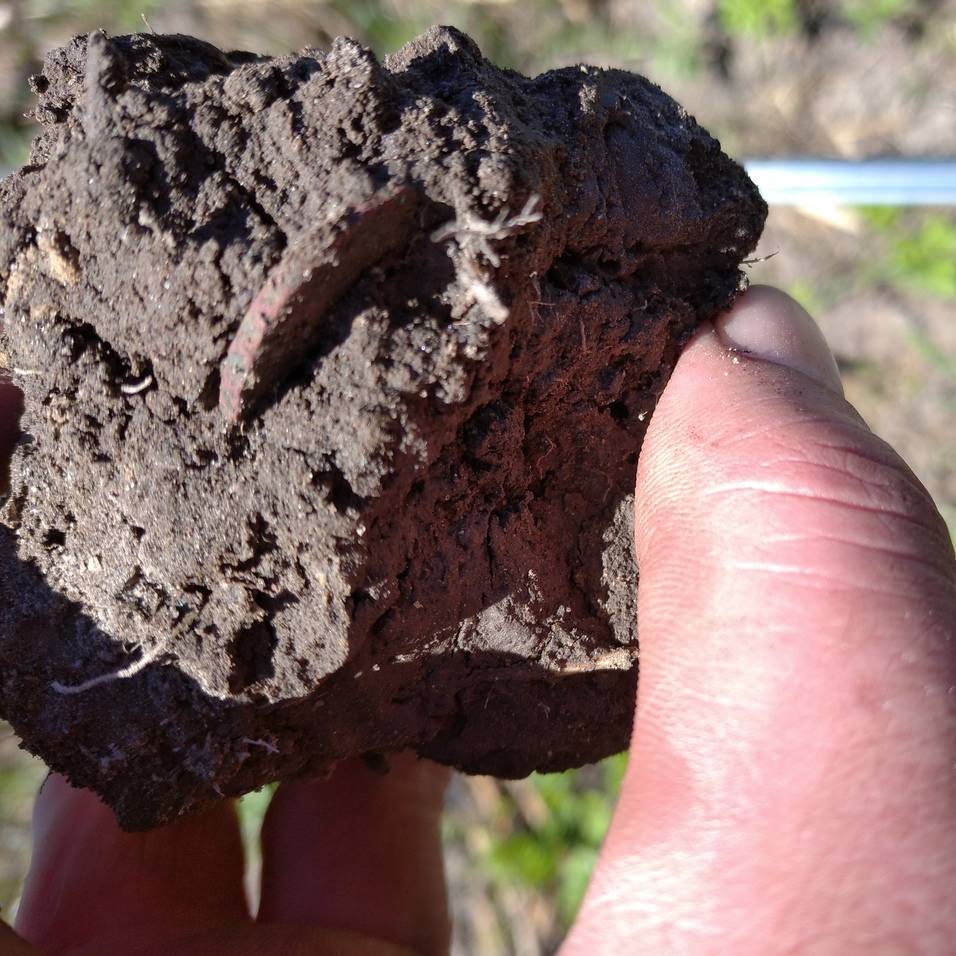 Иконка канала По следам истории