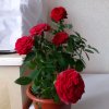 Иконка канала Мастерская " Одной Левой"