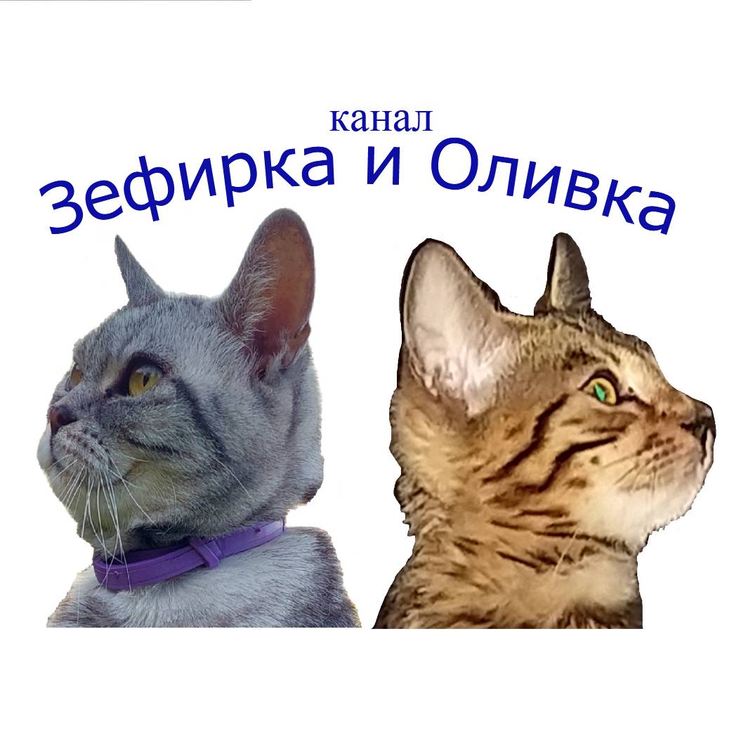 Иконка канала Зефирка и Оливка