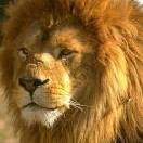 Иконка канала Фильмоскоп