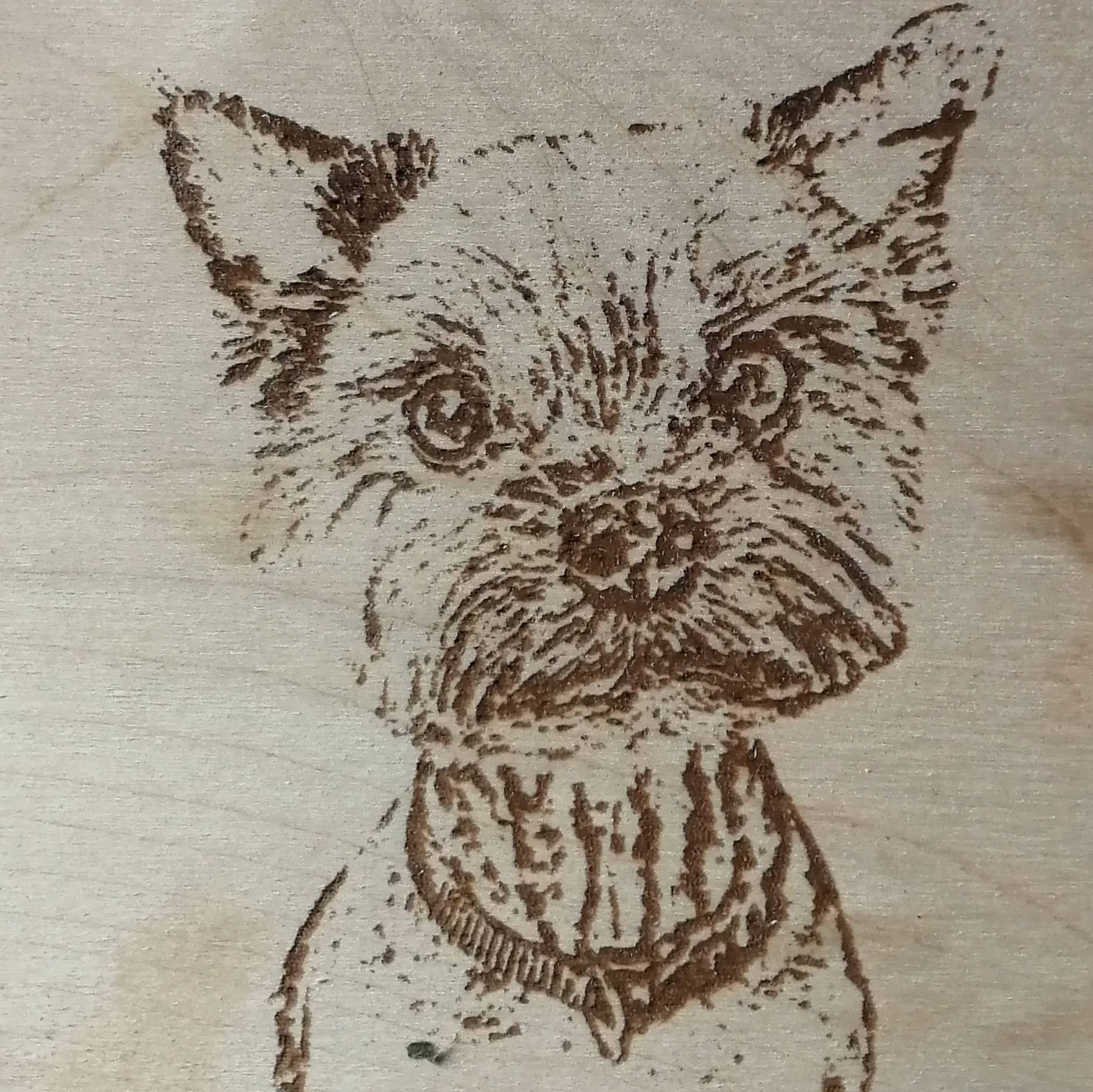 Иконка канала CoolerOk