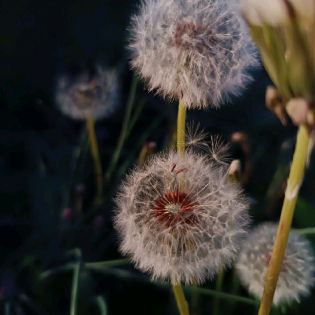 Иконка канала Тауриэль Арт