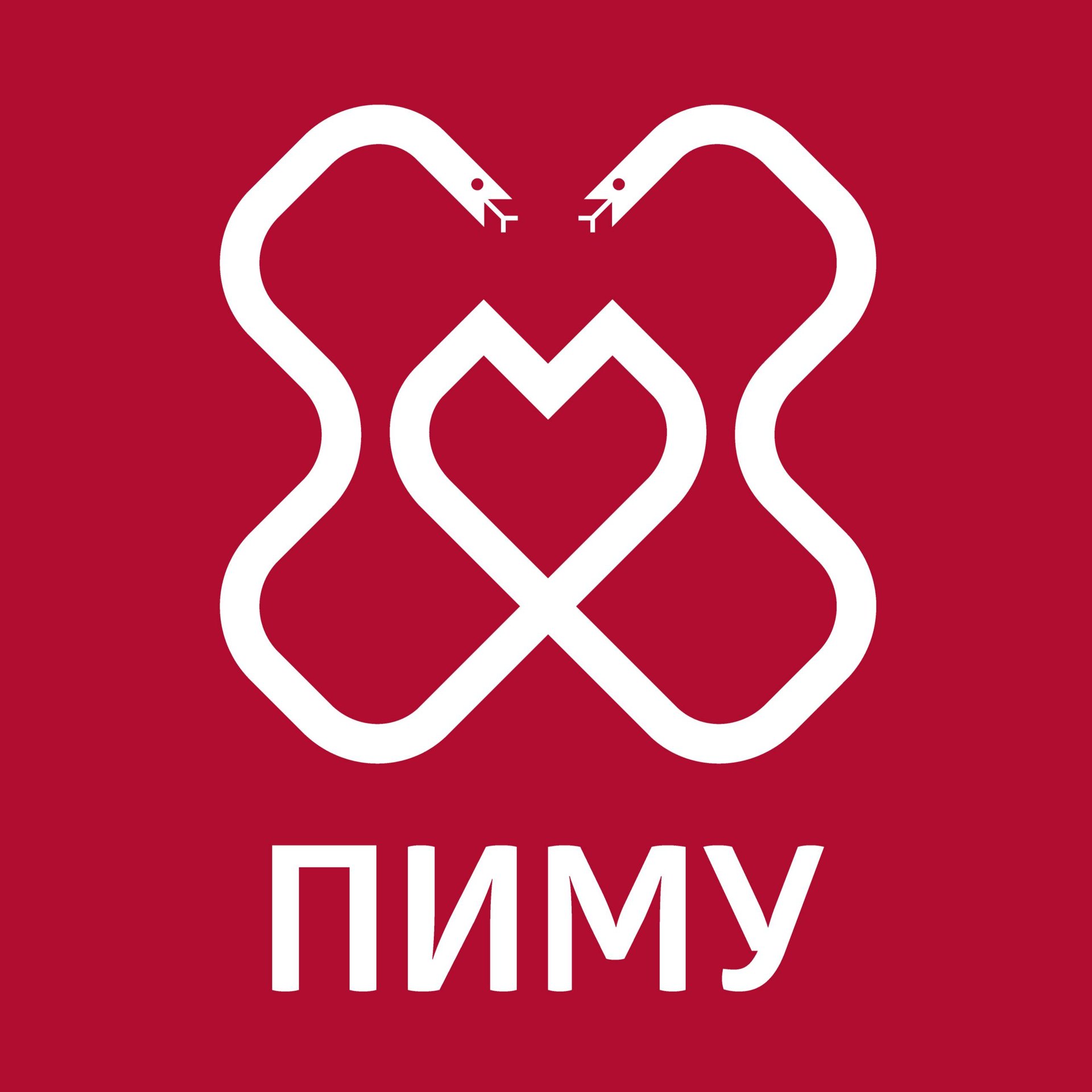 Иконка канала ПИМУ|Приволжский медицинский университет