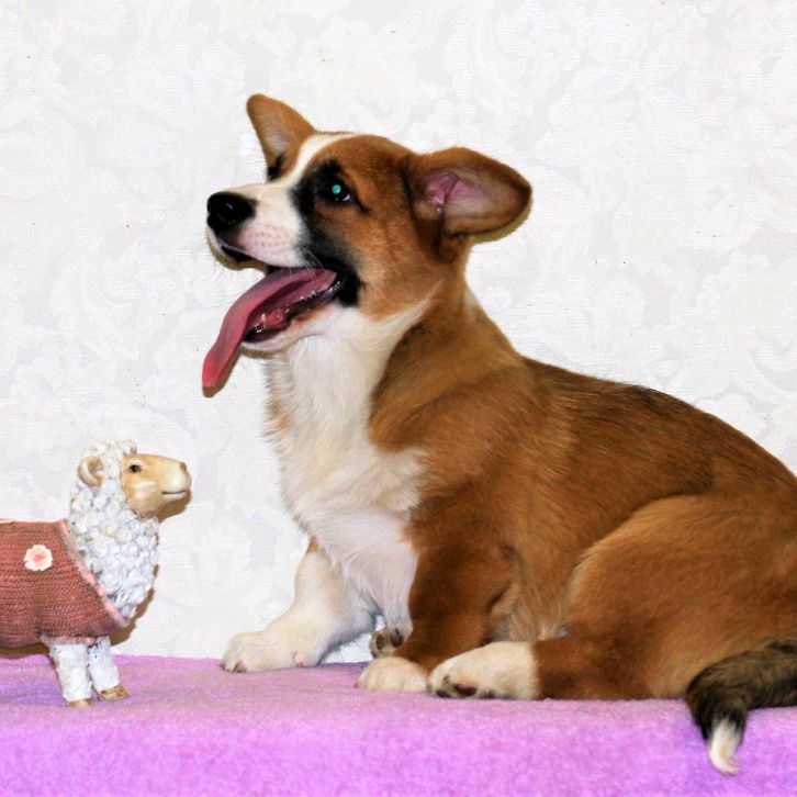 Иконка канала channel28572313