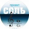 Иконка канала СОЛЬ