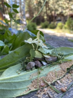 Иконка канала Здесь приятное