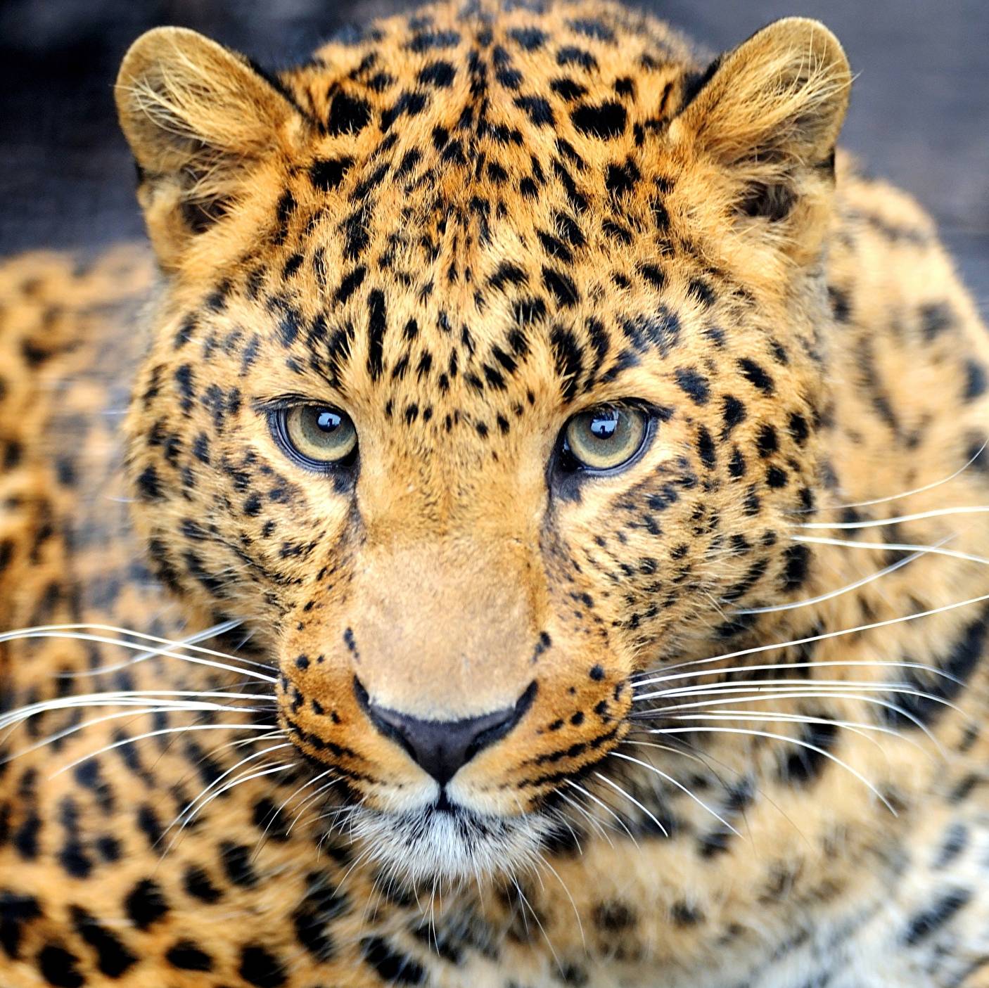 Иконка канала Андрей