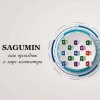 Иконка канала sagumin