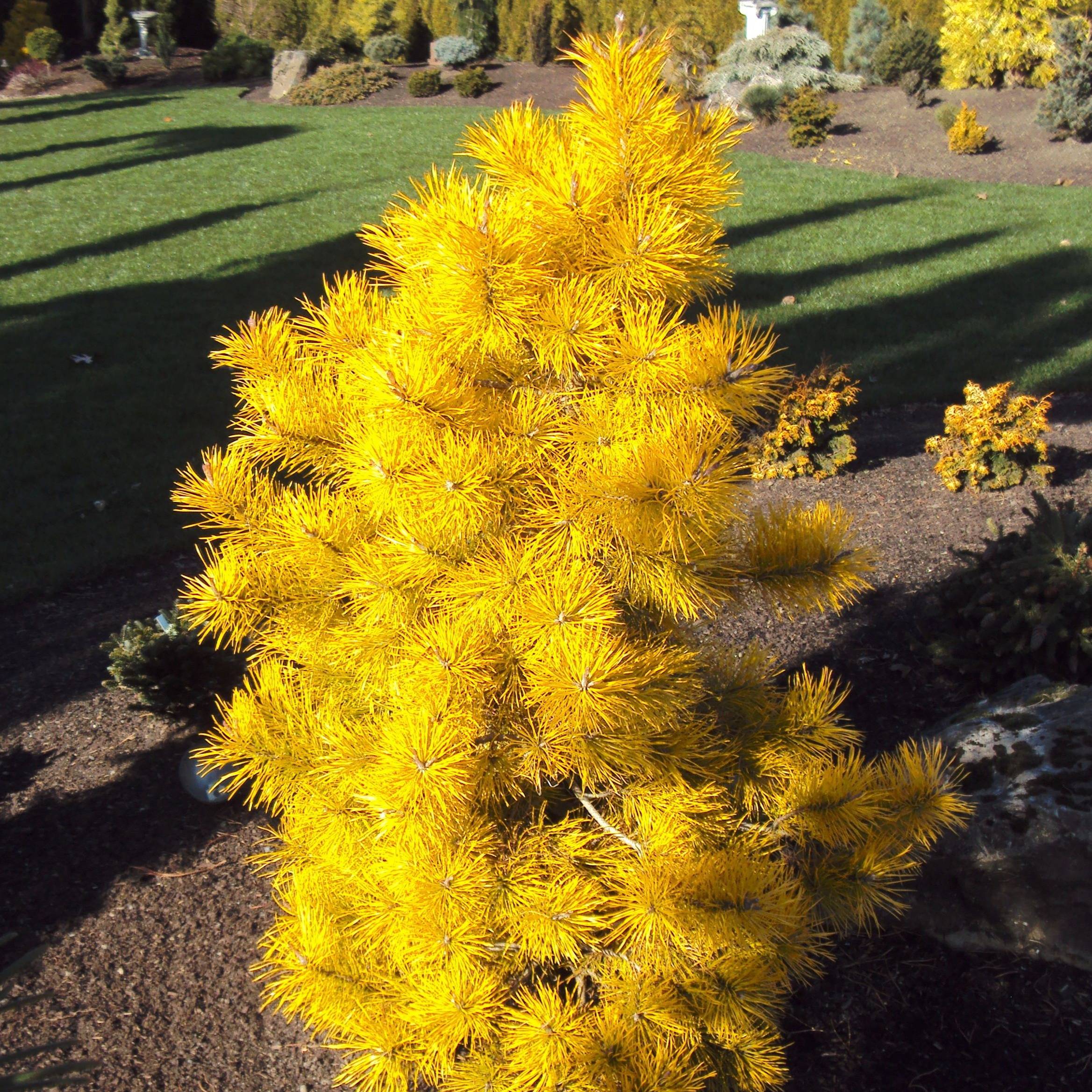 Иконка канала Солнечная долина