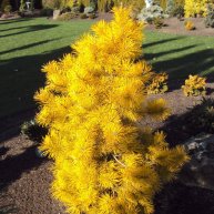 Иконка канала Солнечная долина