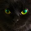 Иконка канала Сергей Покотилов