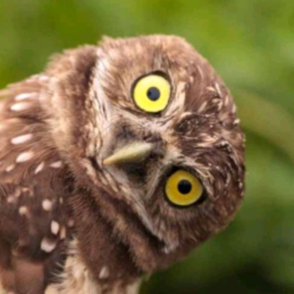 Иконка канала Гомель 82