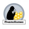 Иконка канала ПчелоХолмс