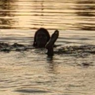 Иконка канала XopMC