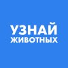 Иконка канала Узнай Животных