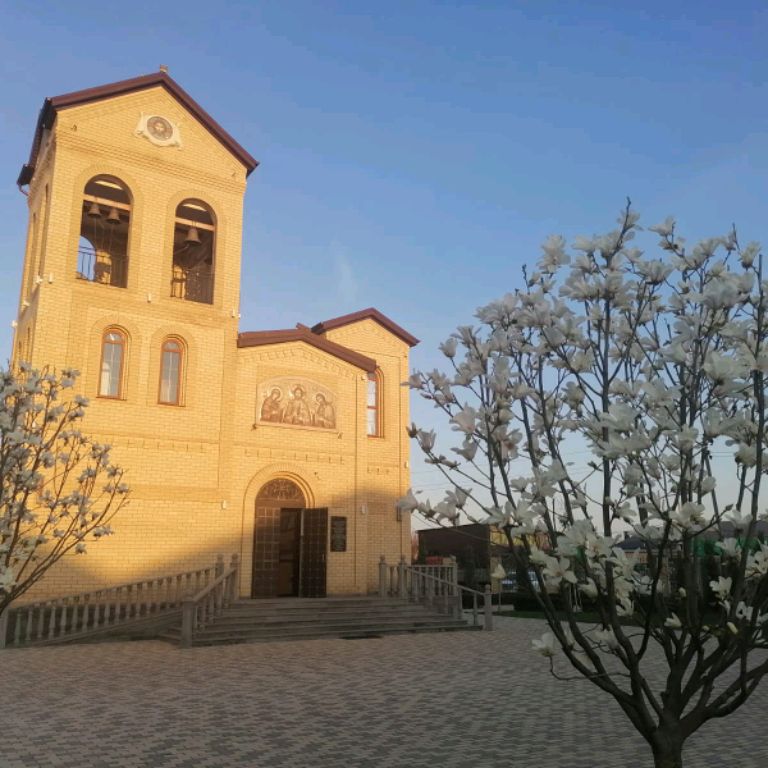 Иконка канала Неувядаемый Цвет