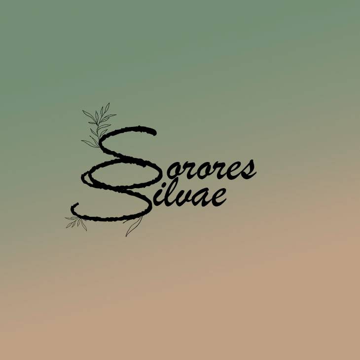 Иконка канала SororesSilvae