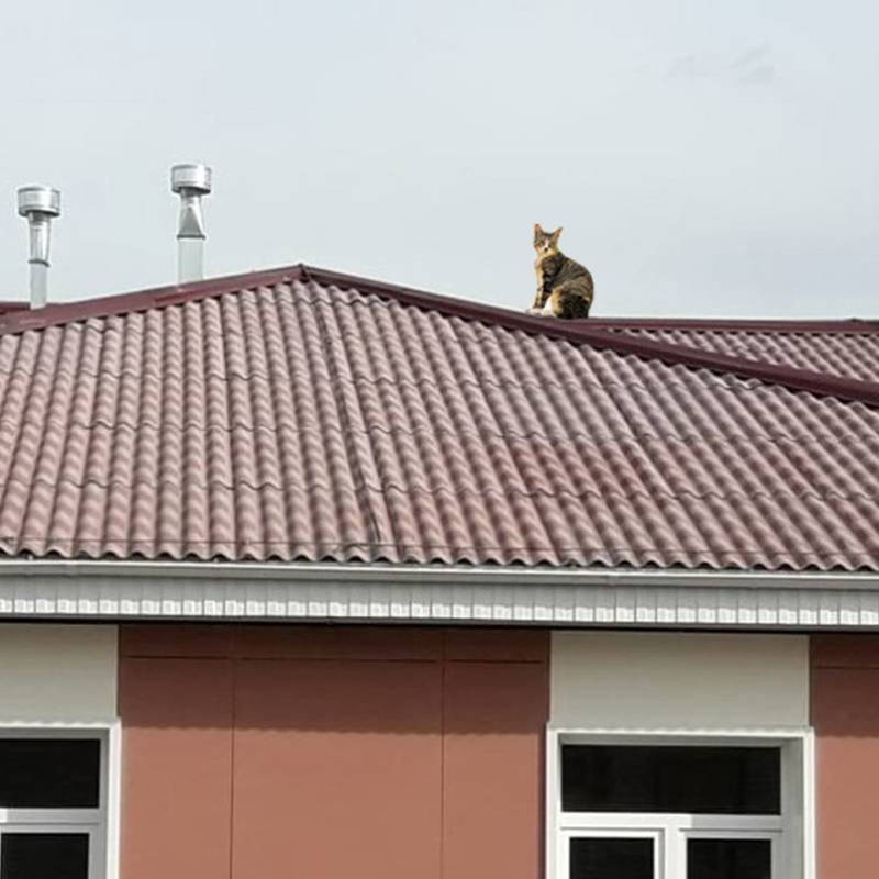 Иконка канала Шифер и шиферная черепицаTeamLit