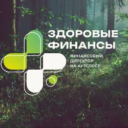 Иконка канала Финансовый директор ЗФ