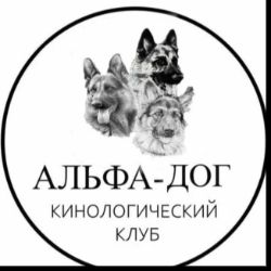 Иконка канала КК "Альфа-Дог"