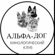 Иконка канала КК "Альфа-Дог"