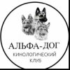 Иконка канала КК "Альфа-Дог"