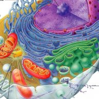 Иконка канала Лекции о жизни
