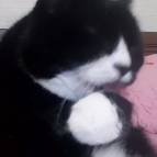 Иконка канала stefan4k0554