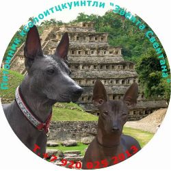 Иконка канала Zventa Sventana