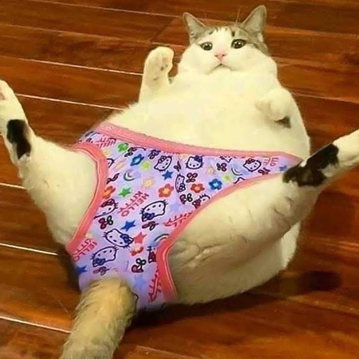 Иконка канала Веселье на каждый день