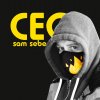 Иконка канала samsebeceo