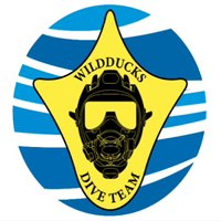 Иконка канала WildDucksTeam