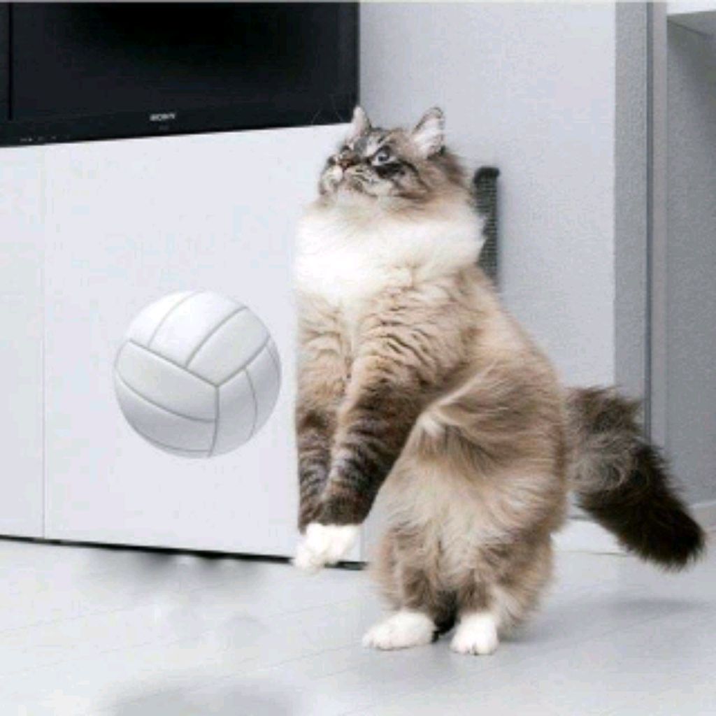 Иконка канала ♡꧁┊??????┊꧂♡