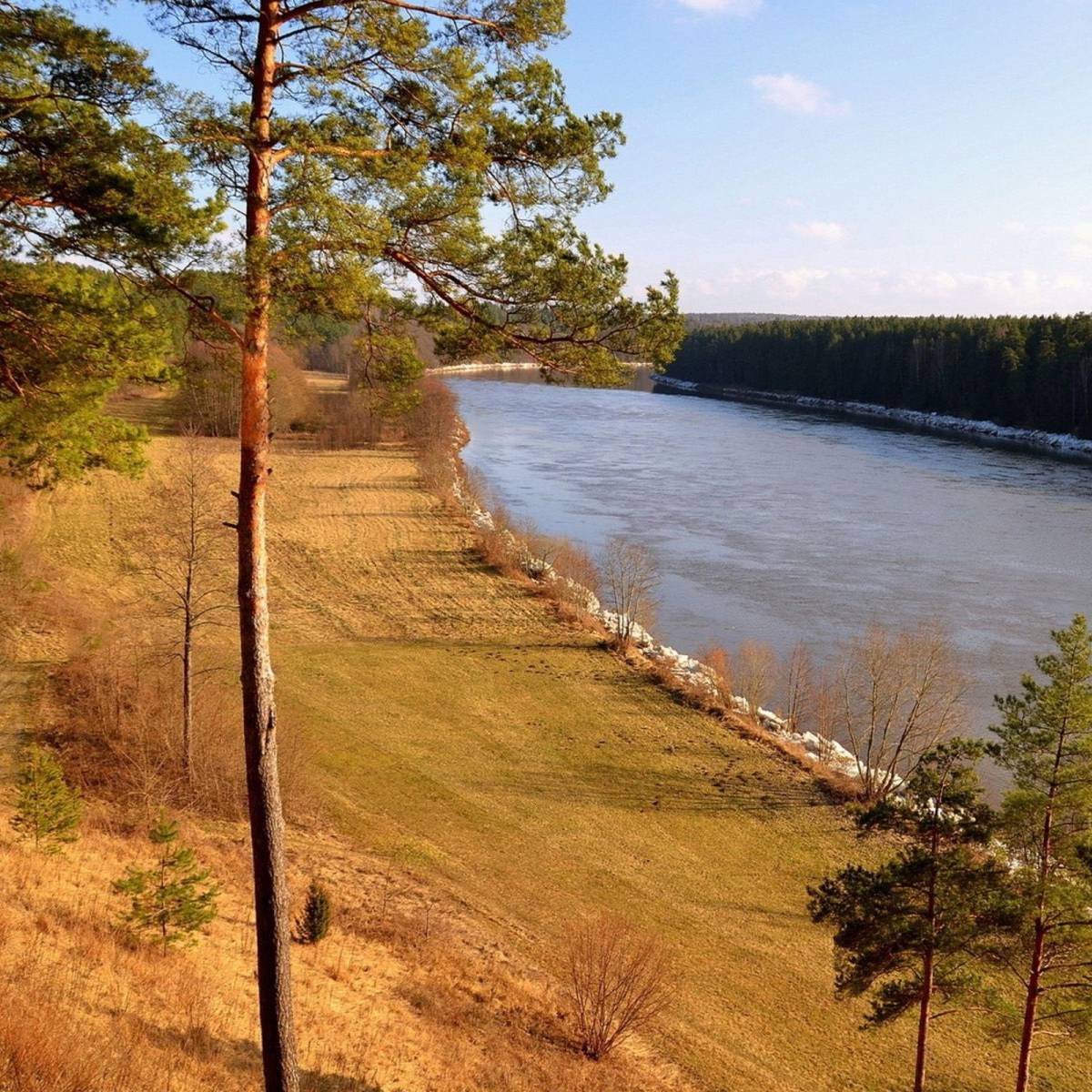 Иконка канала Музыкальный канал