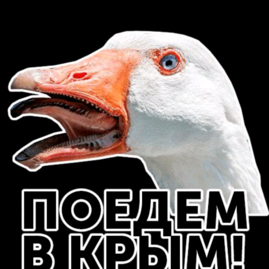 Иконка канала Гусь